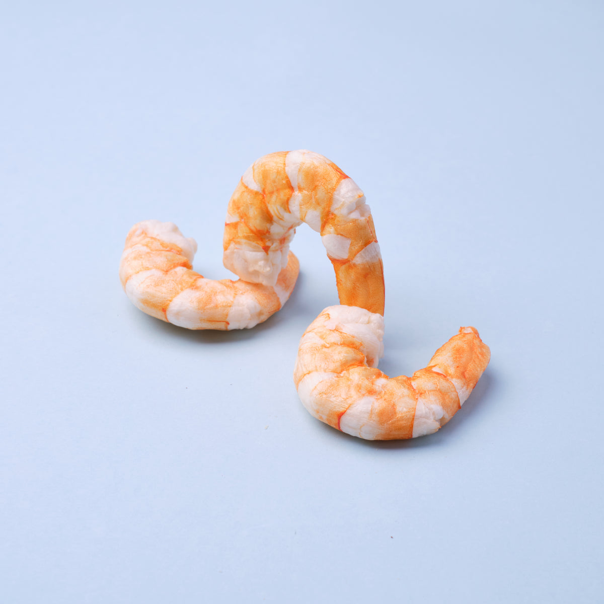 Freeze Dried Hae Bee (Prawns) – WildChow